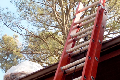 Member Collections - National Safety Council